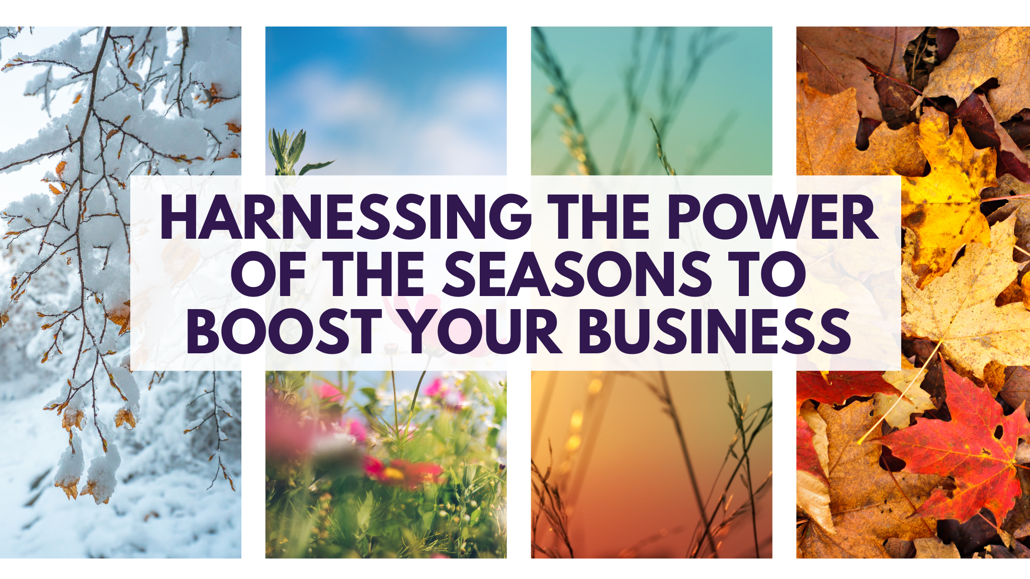 Seasonal Promotions 101 Unlock the Power of Seasons for Business Growth